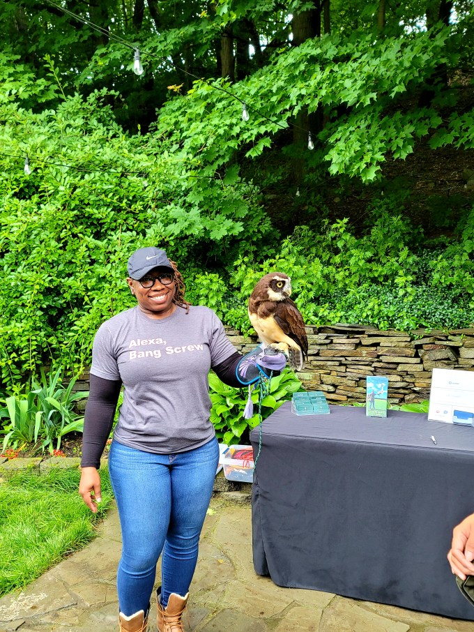 Falconry Excursion (Hawk Walk) – Bucket List Brandy